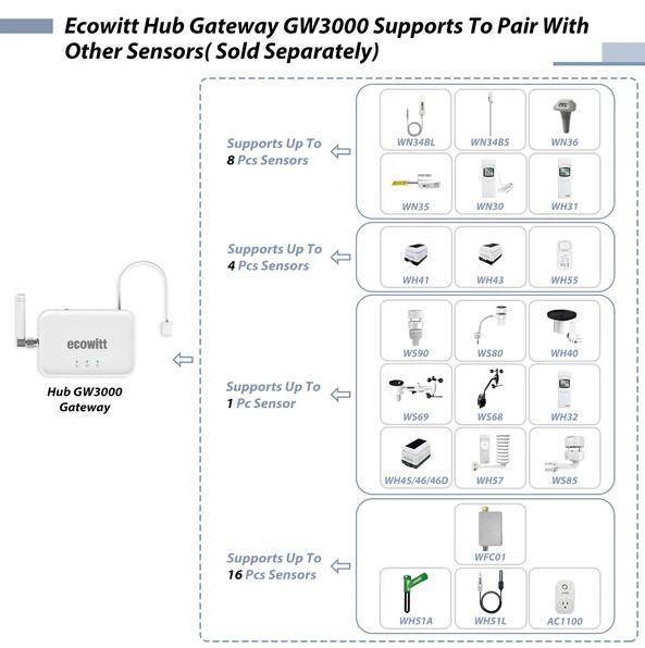 GW3000 Wi-Fi Ethernet IoT Weather Station Gateway ECOWITT